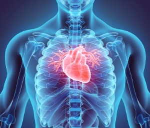 Heart Health: Six Numbers You Need to Know